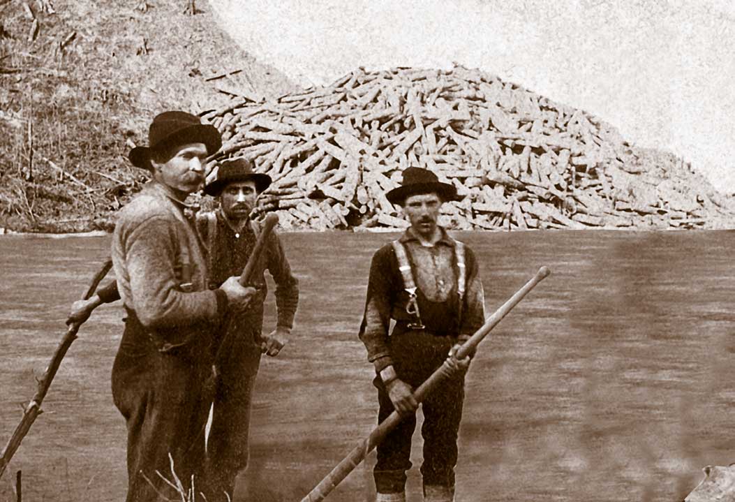 A Look Back In Time – Eyewitness to Logging – Adirondack Author